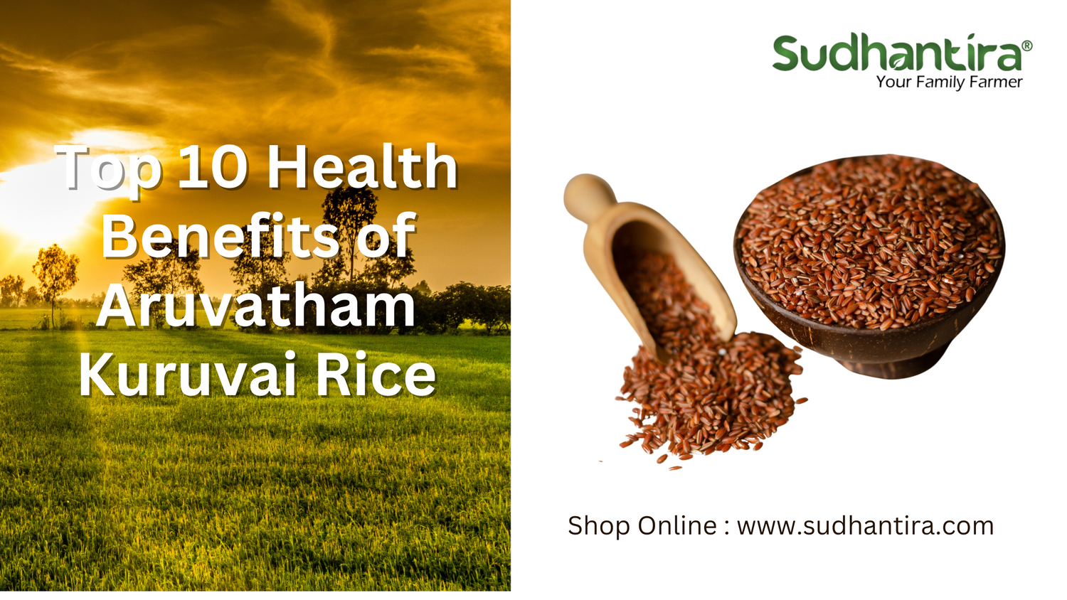 Top 10 Health Benefits of Aruvatham Kuruvai Rice – Sudhantira