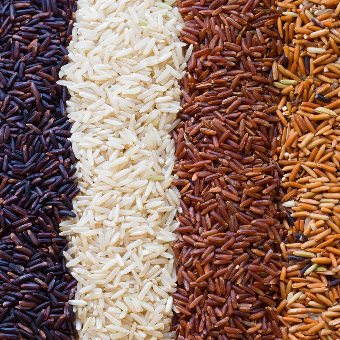 Karunkuruvai Rice / Red Rice - Organic – Sudhantira